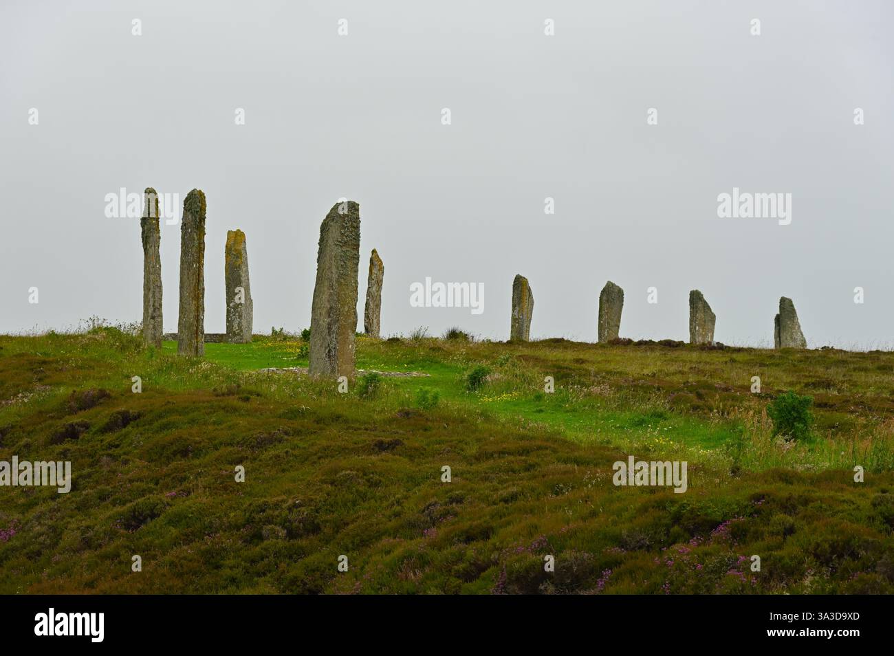Standing stones forming part of Ring of Brodgar neolithic stone circle ...