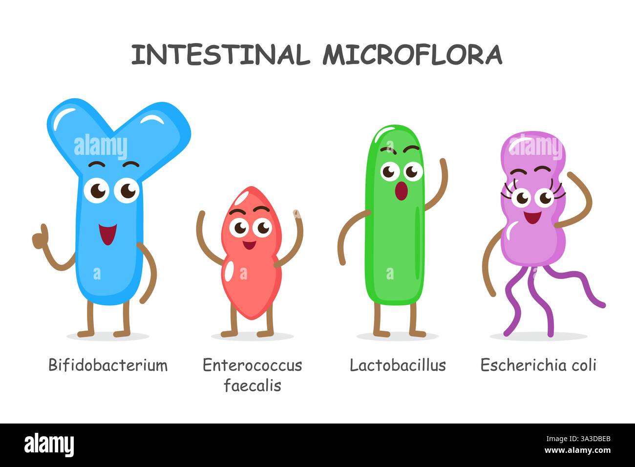 Intestinal microflora . Collection of cute medical microbiome cartoon ...