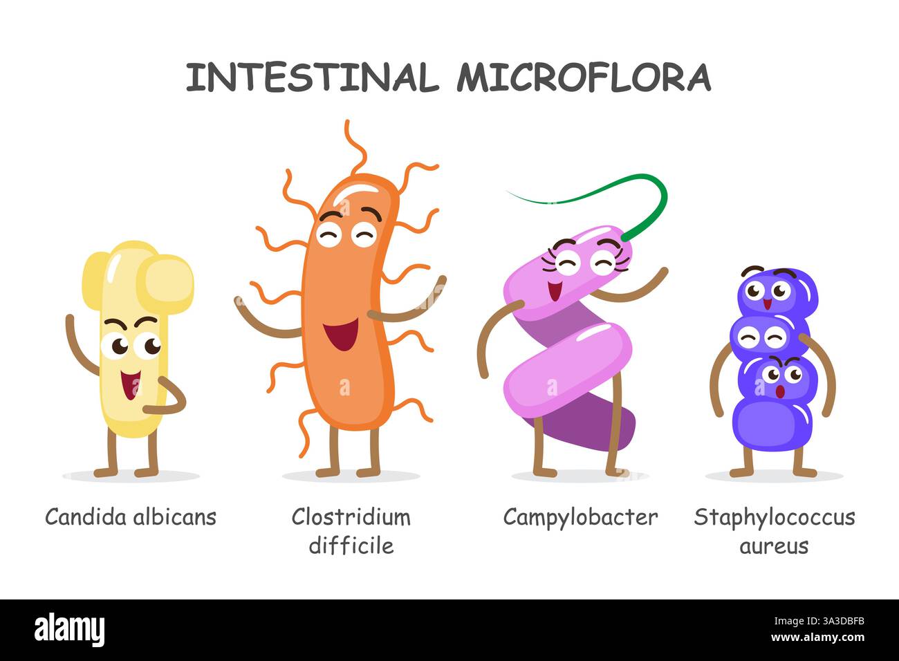 Intestinal microflora . Collection of cute medical microbiome cartoon ...