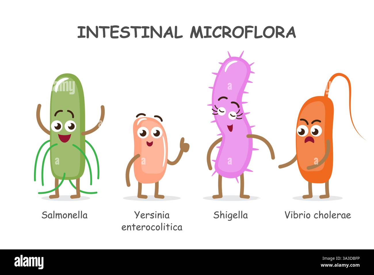 Intestinal microflora . Collection of cute medical microbiome cartoon ...