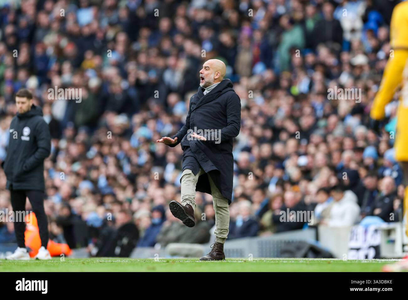 Manchester City Manager Pep Guardiola reacts legs gestures during the ...