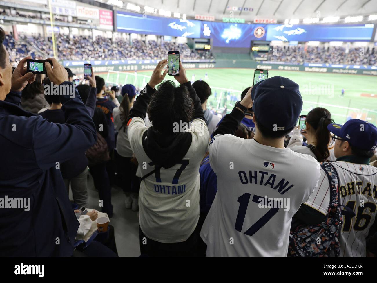 Lots of baseball fans get excited before the spring training baseball ...