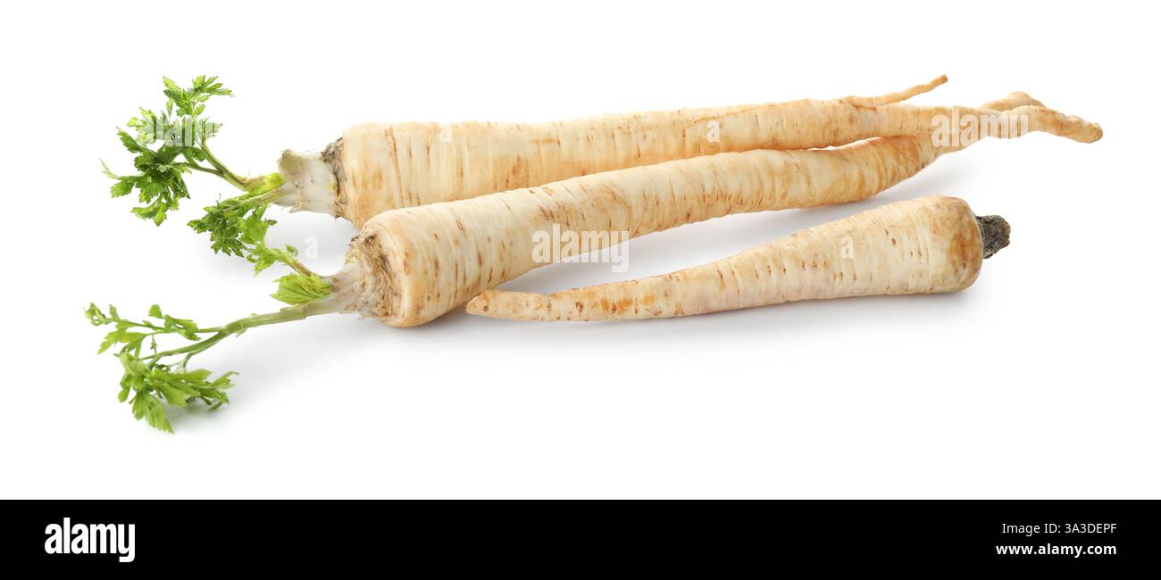 Three fresh parsley roots isolated on white Stock Photo - Alamy