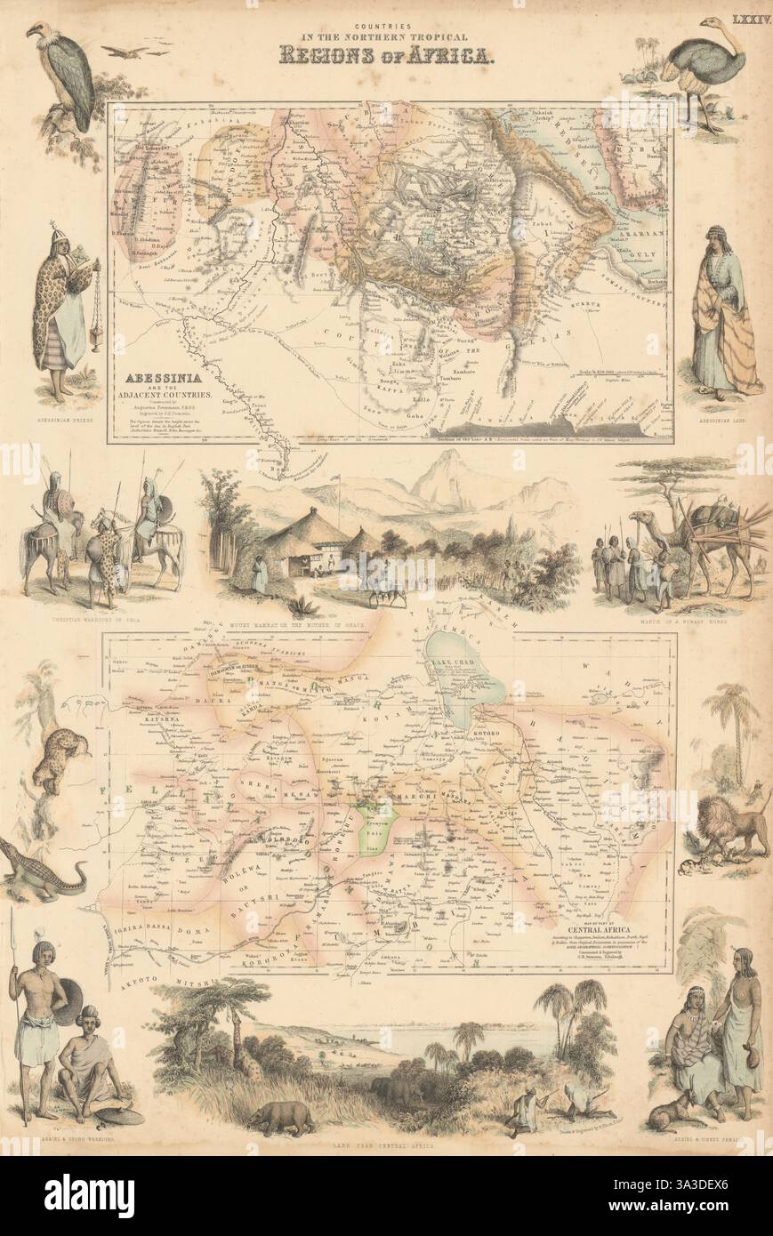 Northern Tropical Regions in Africa. Abyssinia. Lake Chad. Nigeria ...