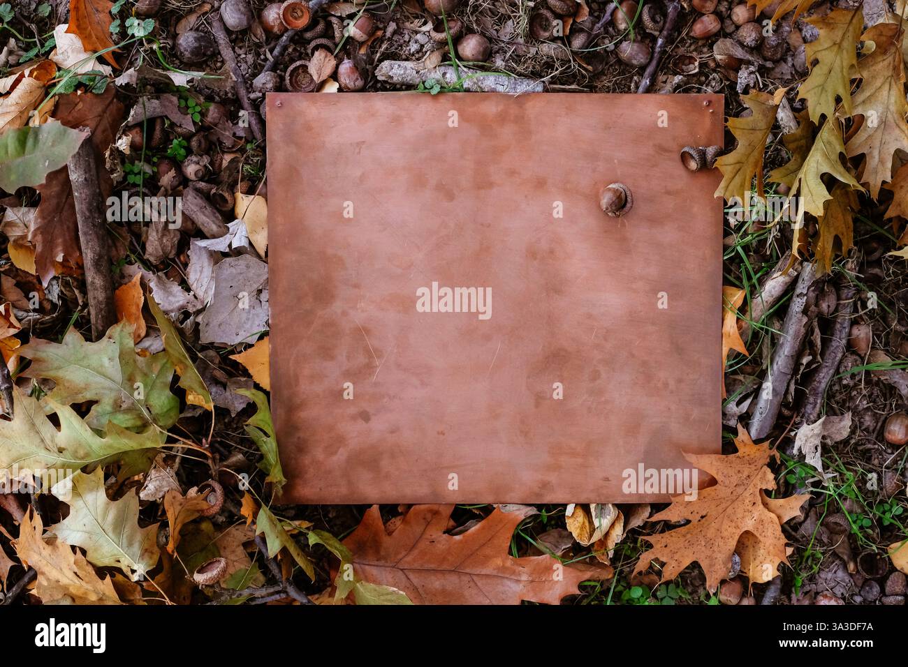 Empty Textured Copper Plate for Design and Aesthetic Applications ...