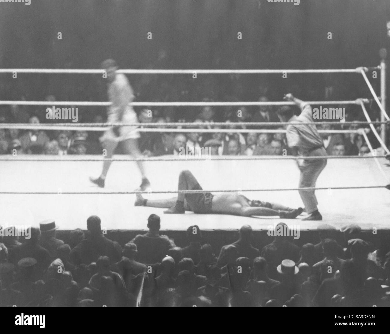 Prize fighting knockout 1923 Stock Photo - Alamy