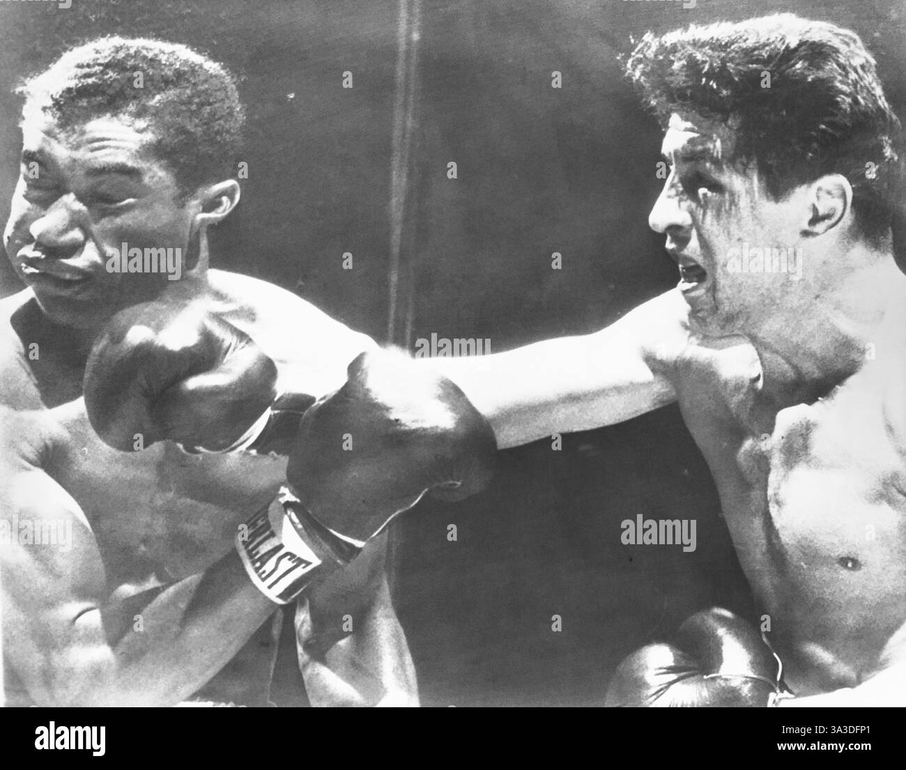 Professional heavyweight boxer's going at it Stock Photo - Alamy