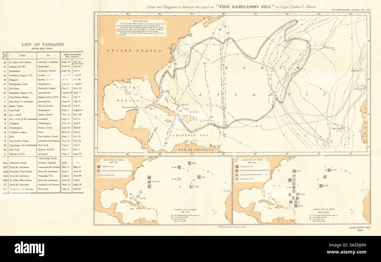 The Sargasso Sea by Capt. Charles Dixon. Atlantic Ocean. Sargassum. RGS ...