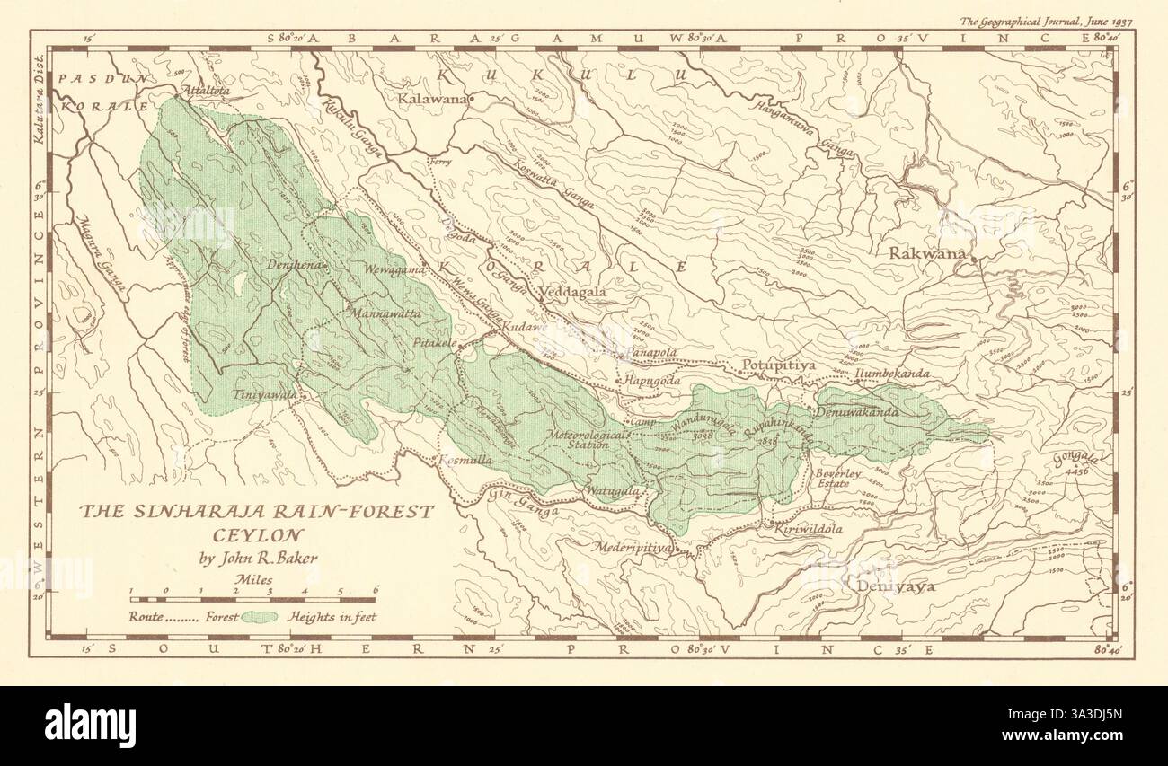 The Sinharaja Rainforest Reserve, Ceylon by John Baker. Sri Lanka. RGS ...