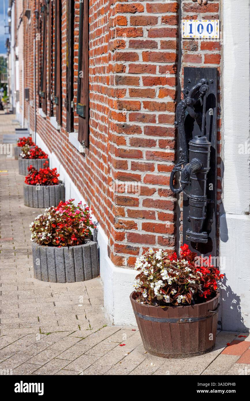 Old water standpipe and pump with flower boxes, Bois-du-Luc mining ...