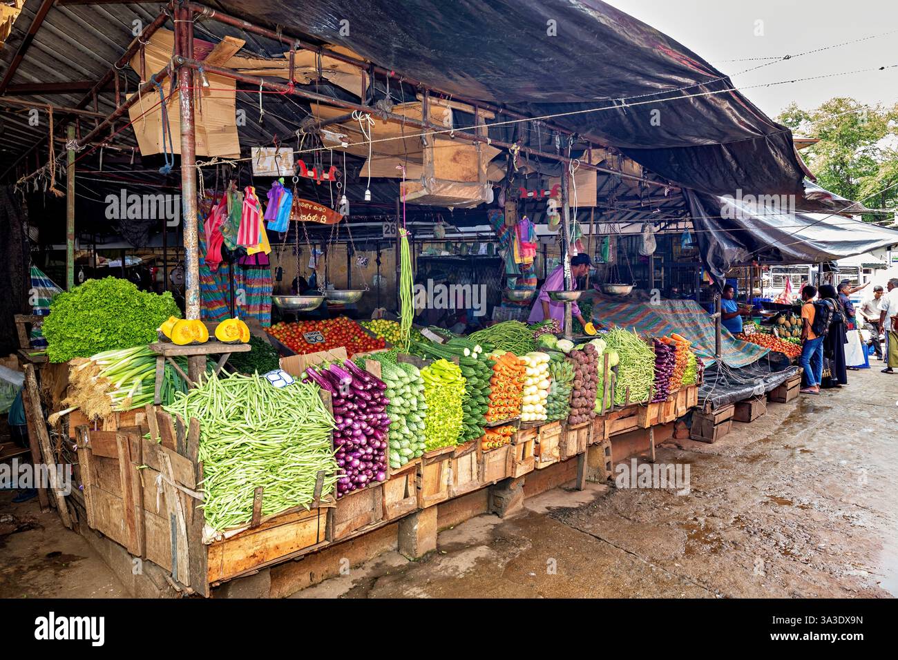 The old market hall of Kandy in Sri Lanka Stock Photo - Alamy