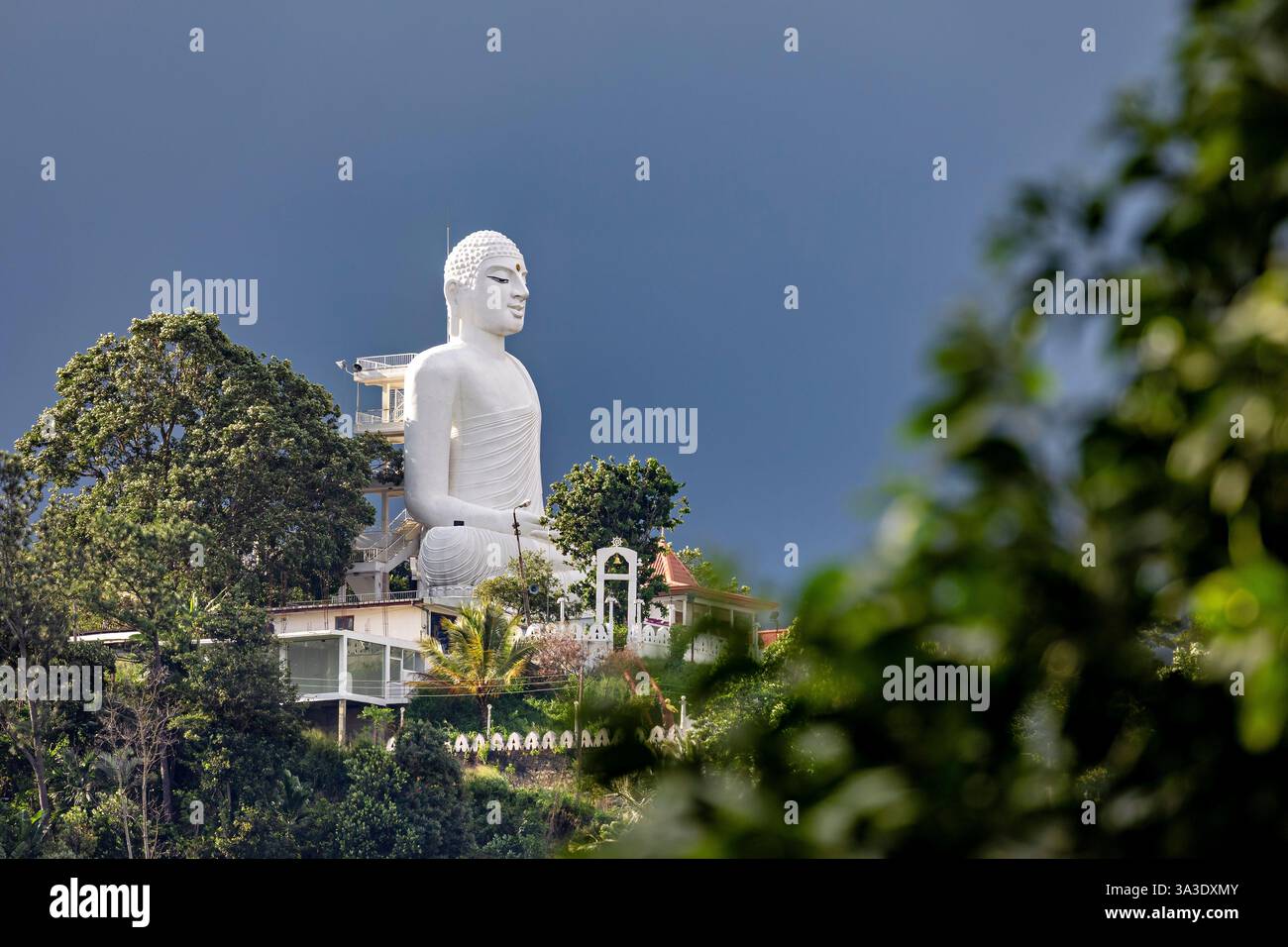 Buddha Statue in the City of Kandy in Sri Lanka Stock Photo - Alamy