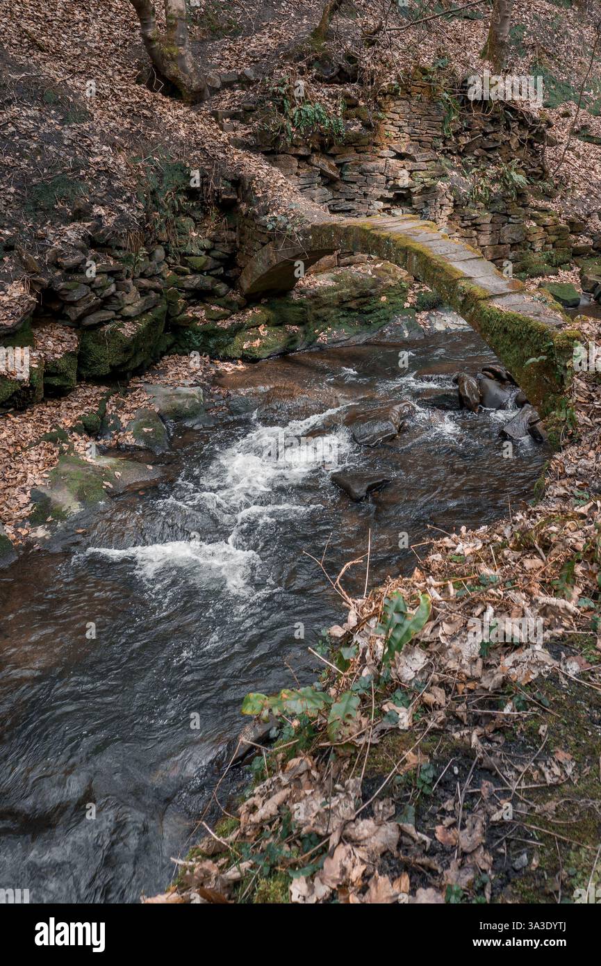 Healey dell nature reserve hi-res stock photography and images - Alamy