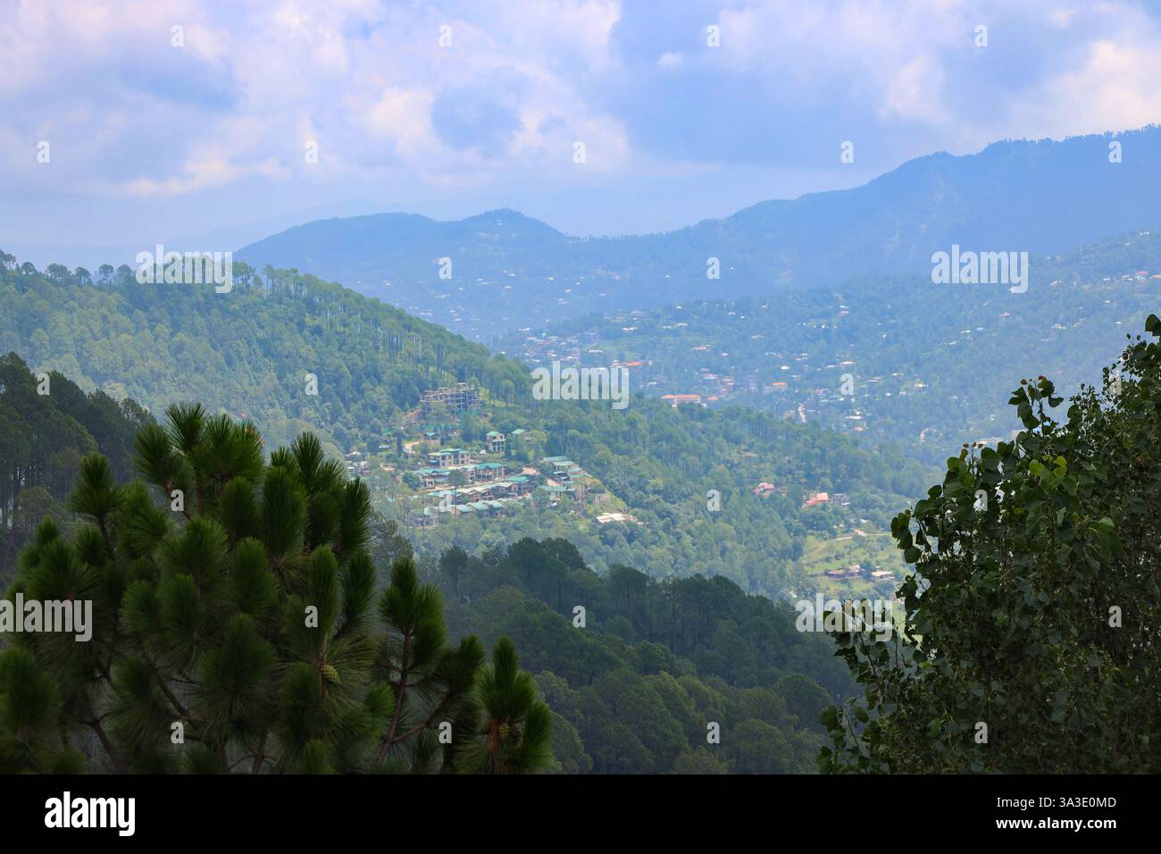 Pine slopes hi-res stock photography and images - Alamy