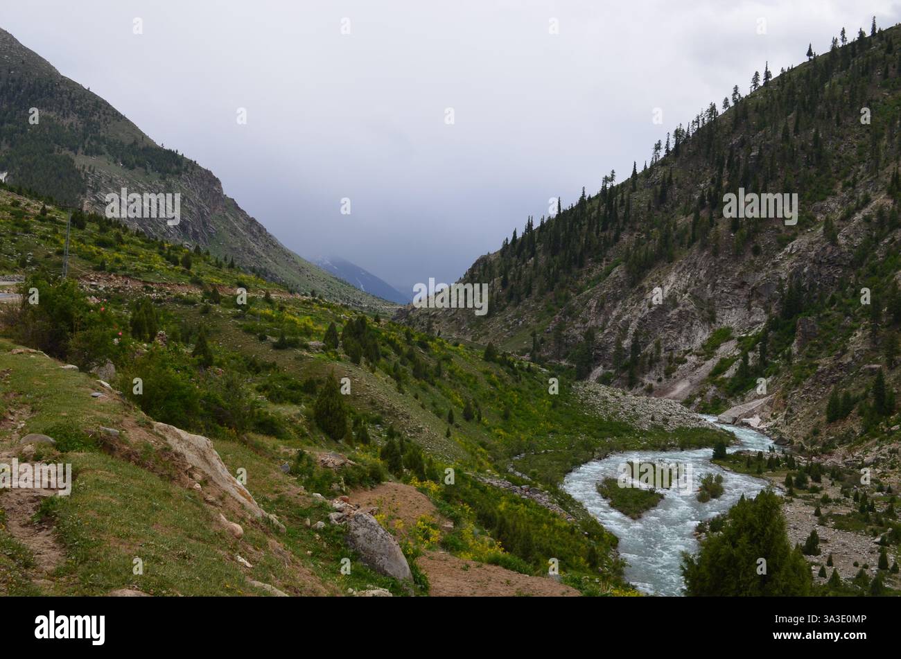 Road to Chilam Valley & Deosai National Park: Lush green valleys dotted ...