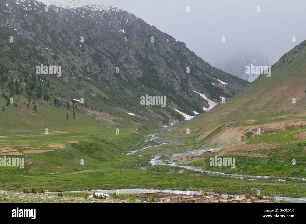 Road to Chilam Valley & Deosai National Park: Lush green valleys dotted ...