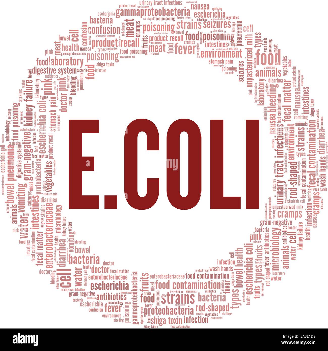Escherichia Coli - E. coli vector illustration word cloud isolated on a ...