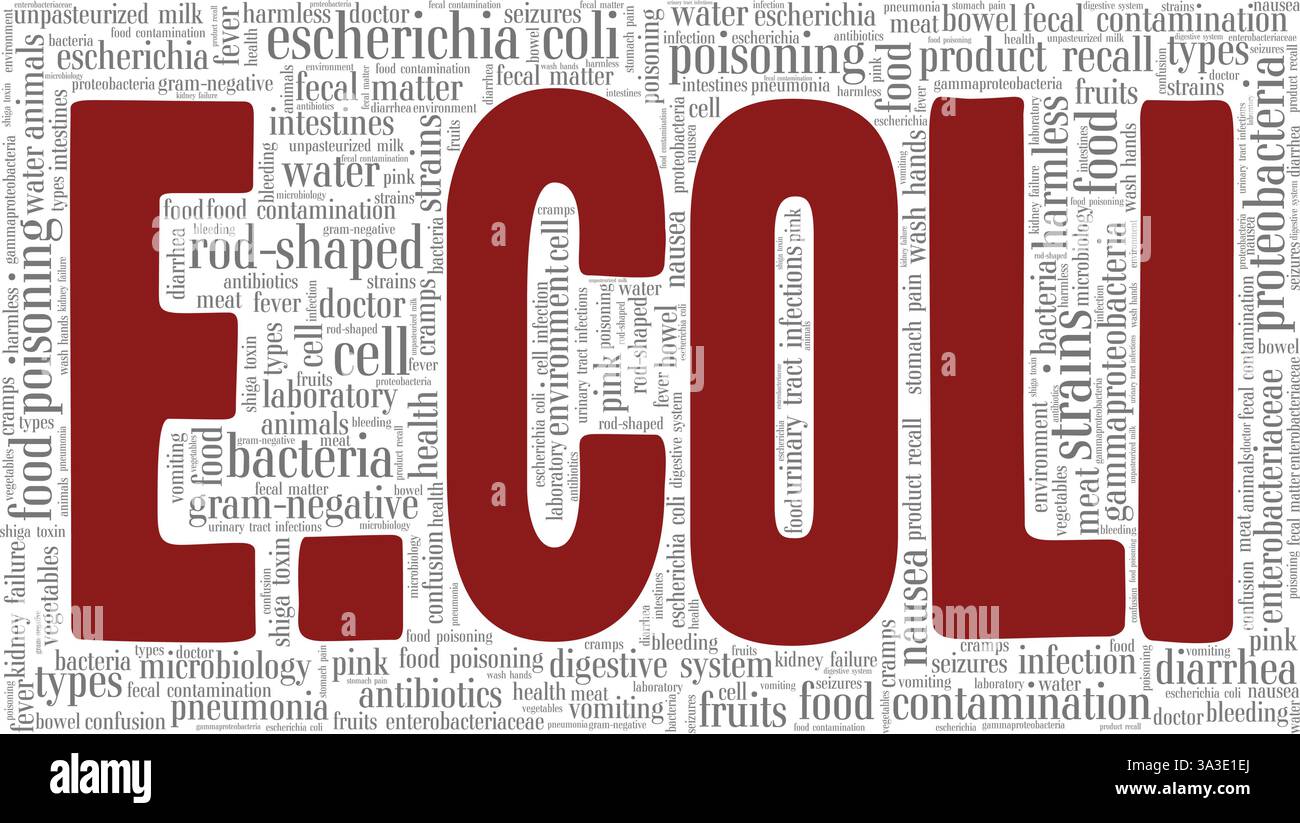 Escherichia Coli - E. coli vector illustration word cloud isolated on a ...