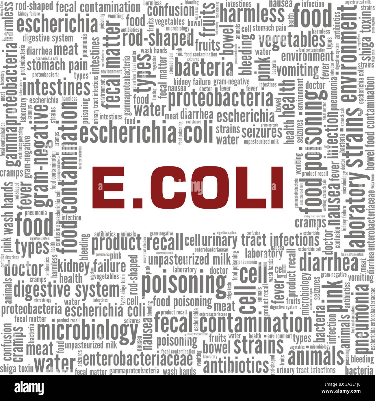 Escherichia Coli - E. coli vector illustration word cloud isolated on a ...