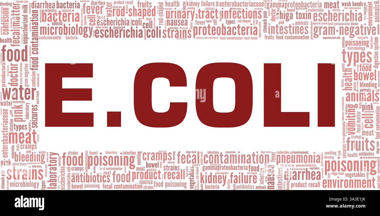 Escherichia Coli - E. coli vector illustration word cloud isolated on a ...