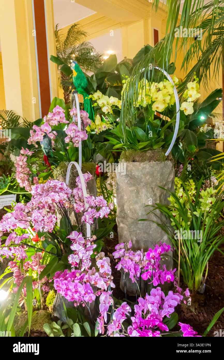Orchid exhibition during famous Lemon Festival (Fete du Citron) in ...