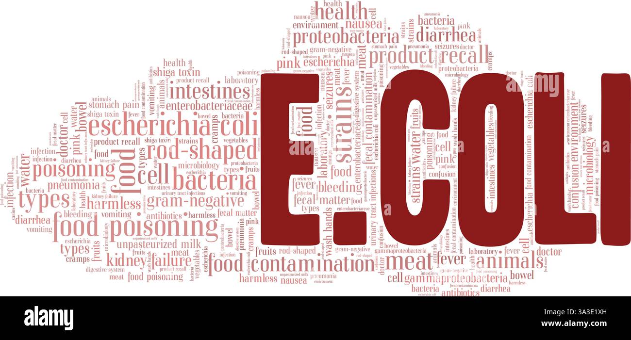 Escherichia Coli - E. coli vector illustration word cloud isolated on a ...
