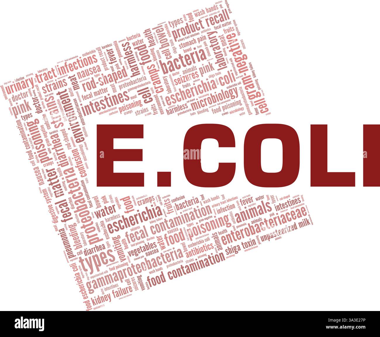 Escherichia Coli - E. coli vector illustration word cloud isolated on a ...