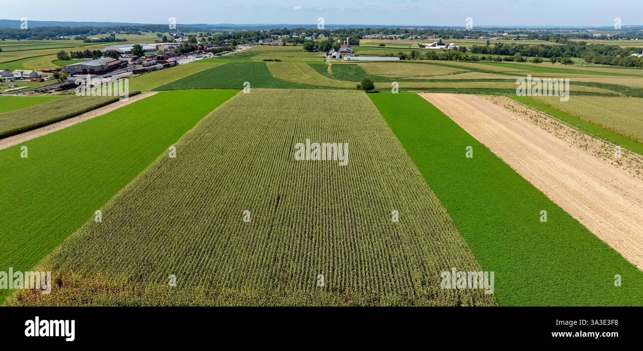 Freshly cultivated fields of corn and grass stretch across the ...