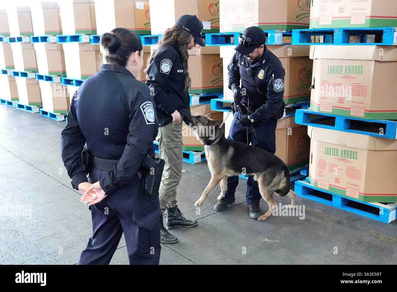 A Customs and Border Protection officer, from right, and a CBP detector ...