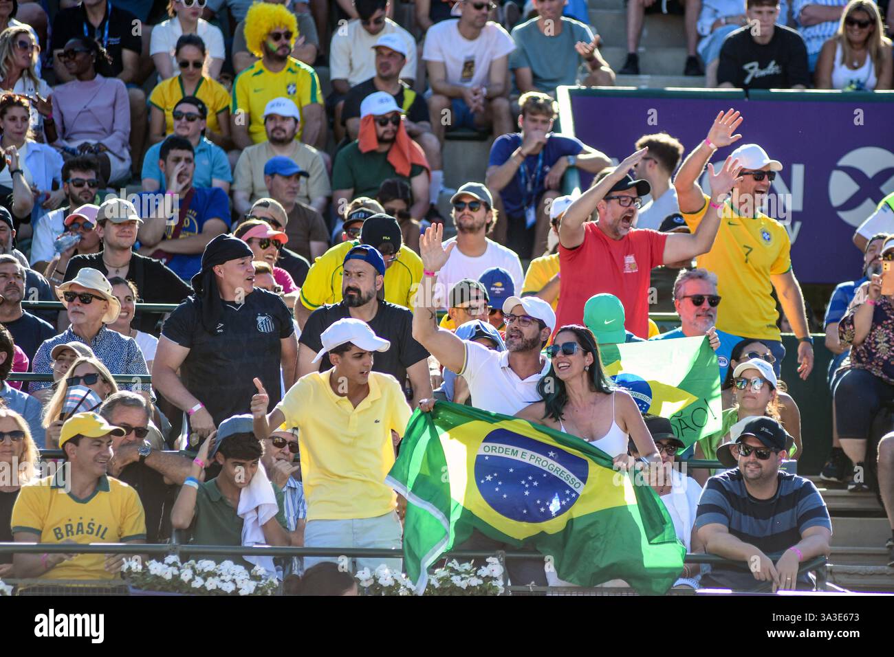 Brazilian tennis fans. Argentina Open 2025 Stock Photo - Alamy