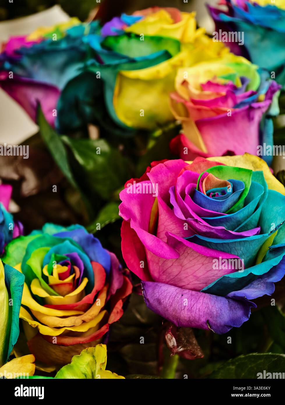 Rainbow arrangement hi-res stock photography and images - Alamy