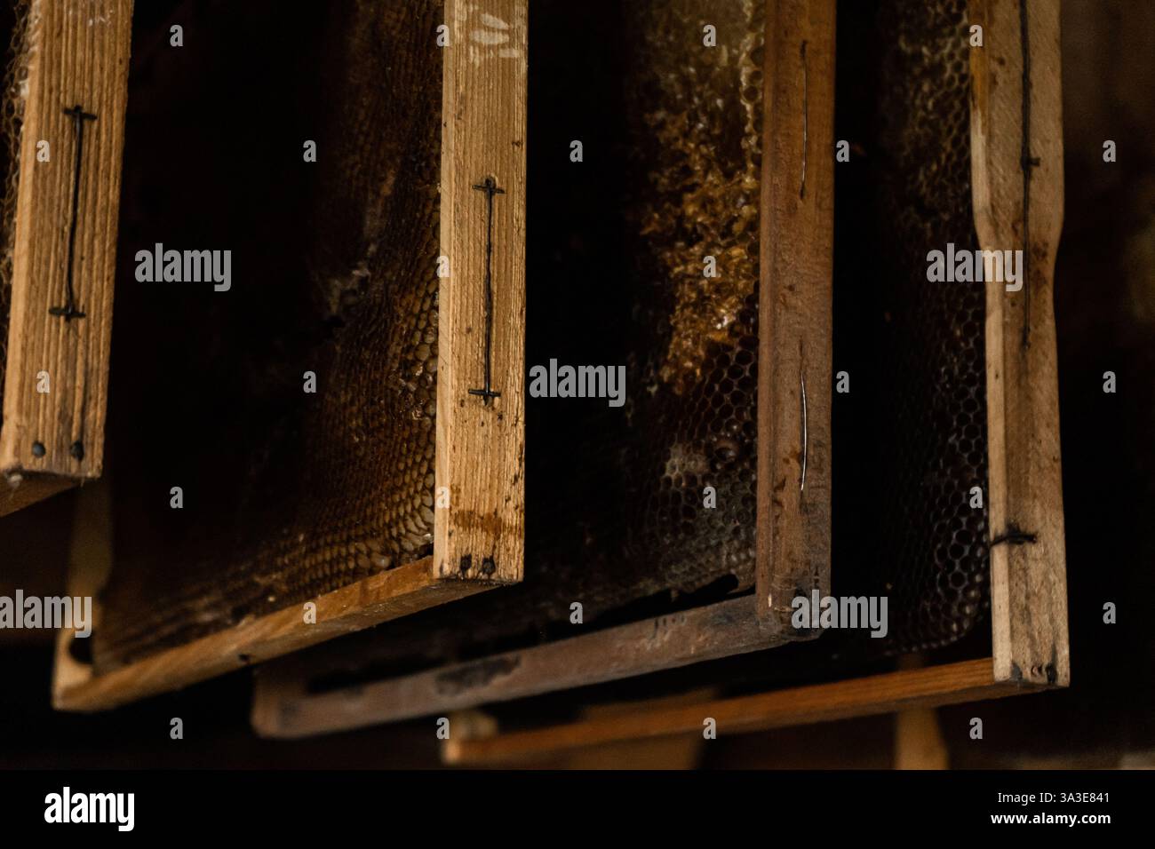 The scene evokes the authenticity of traditional beekeeping. Wooden ...