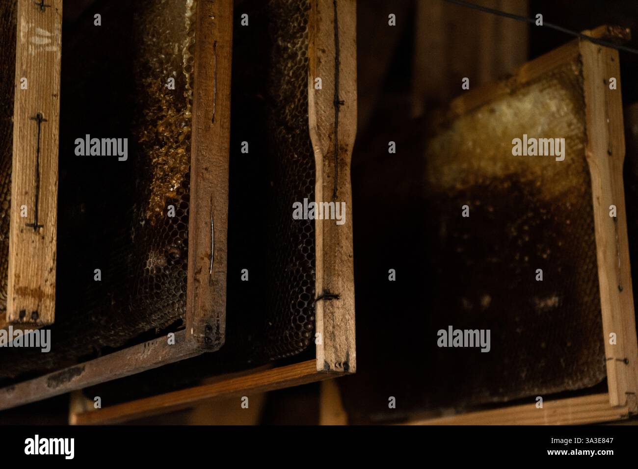 The scene evokes the authenticity of traditional beekeeping. Wooden ...