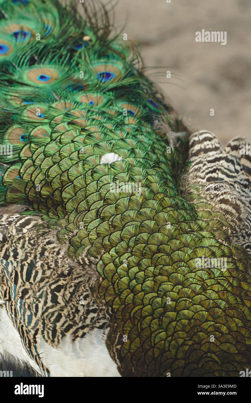 Every detail reflects its unsurpassed charm and grace. A true emblem of ...