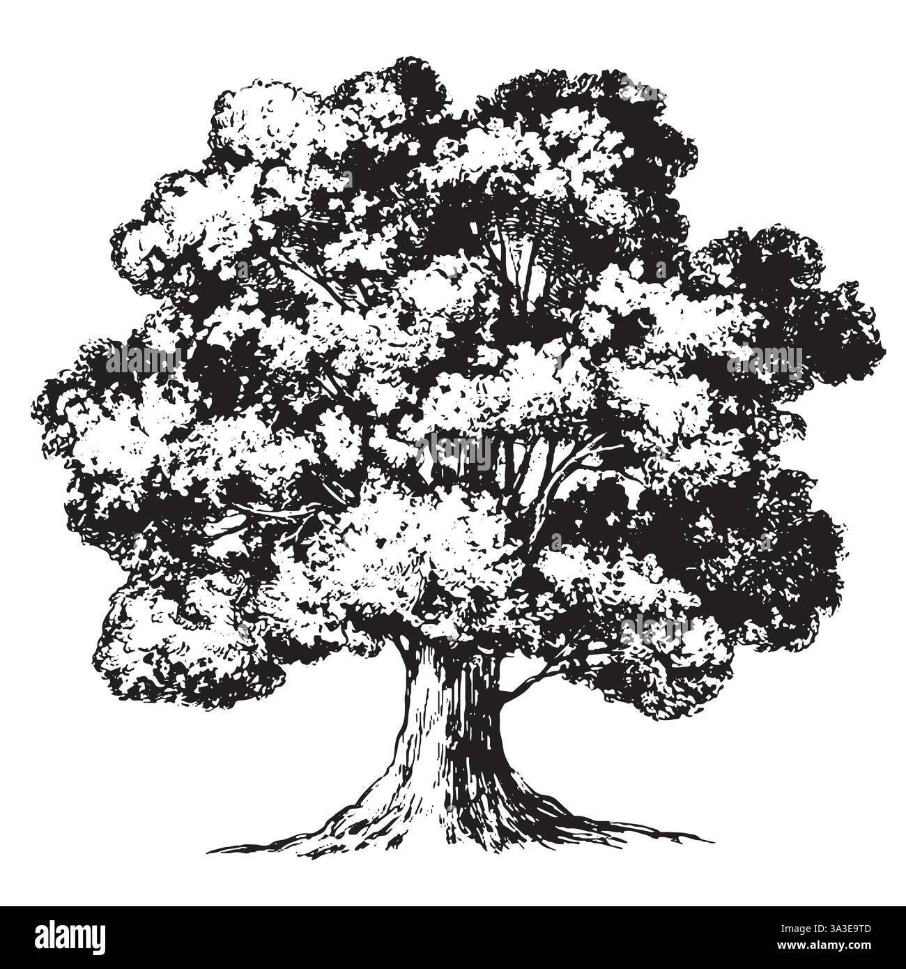 Suitable tree Black and White Stock Photos & Images - Alamy