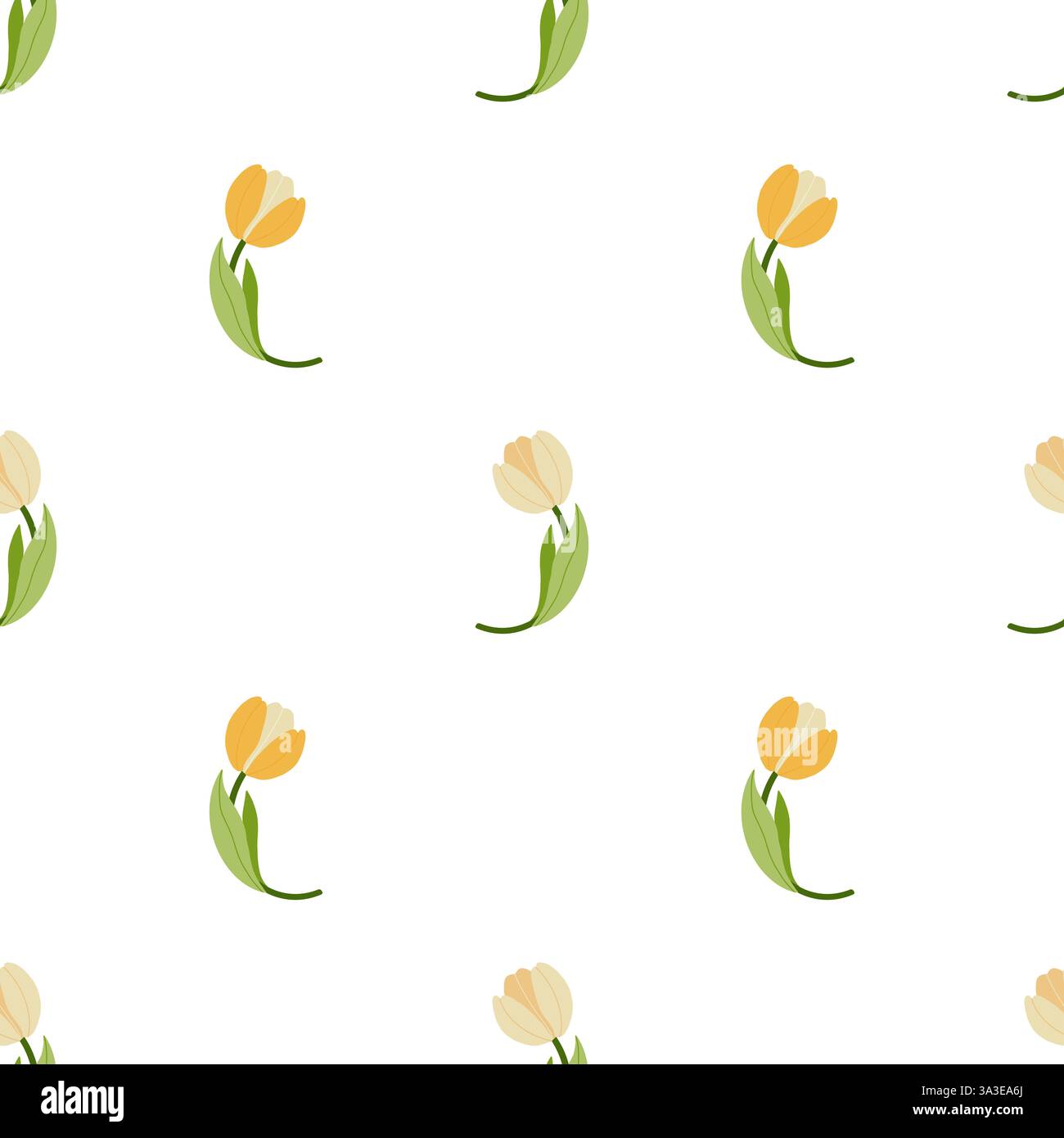 Pattern of white tulips Cut Out Stock Images & Pictures - Alamy