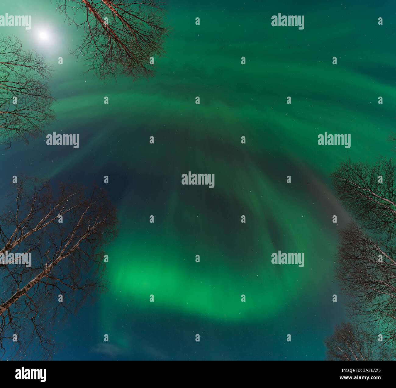 Vibrant green aurora borealis painting the night sky over a snowy ...