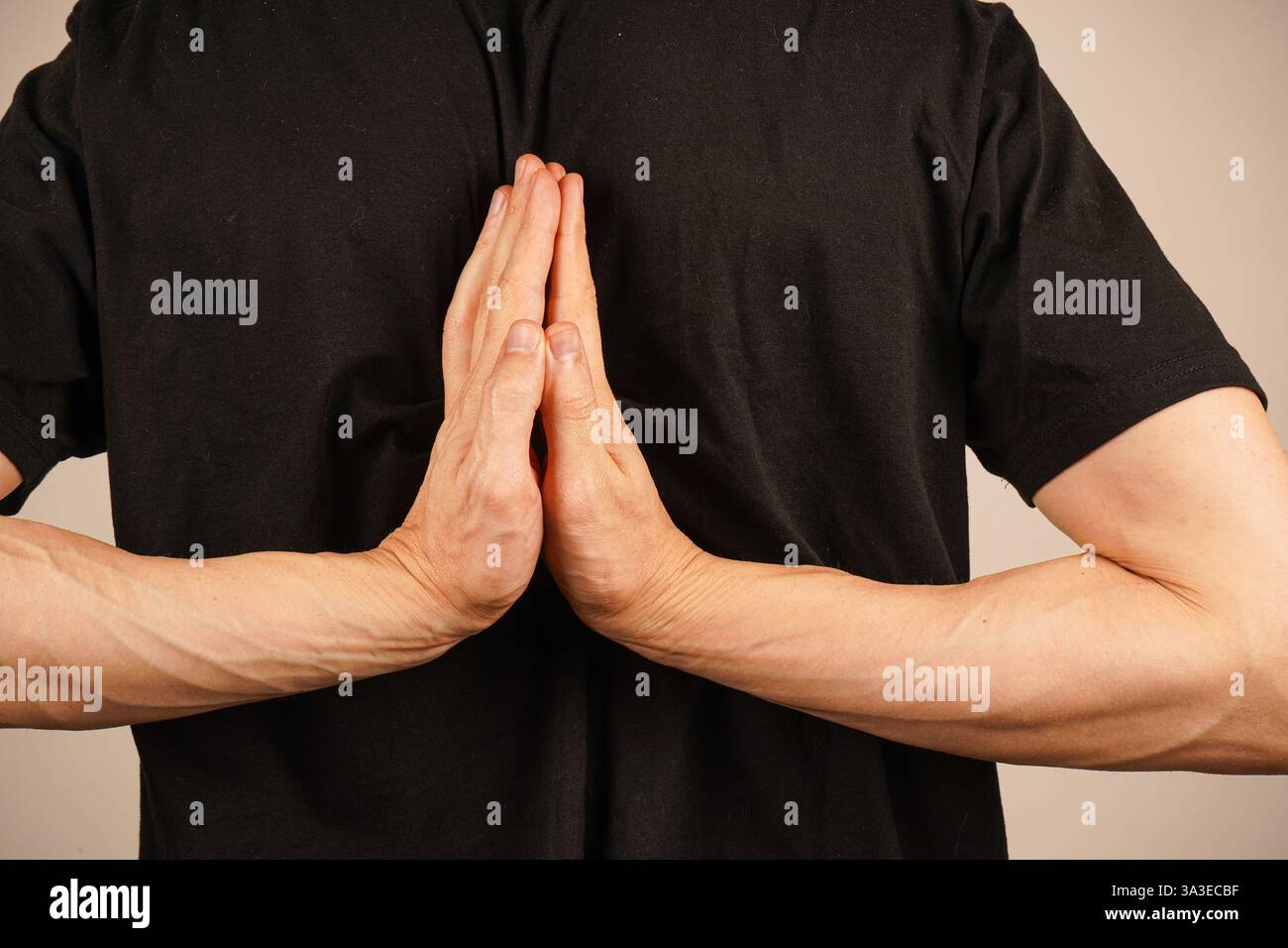 Hands in a gesture of supplication. Palms folded together. A gesture ...