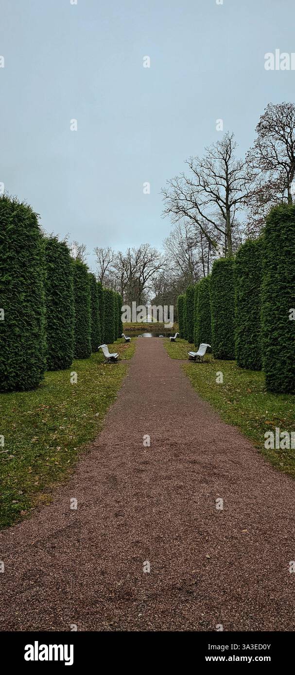 Lawn trees path benches hi-res stock photography and images - Alamy