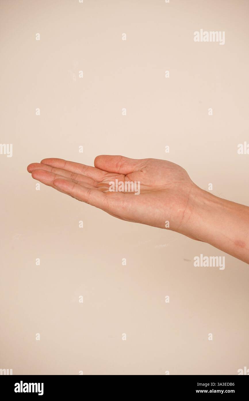 An open palm facing up conveys a sense of giving and receiving. This ...