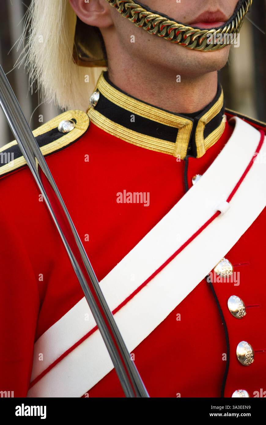 Beefeater standing guard buckingham hi-res stock photography and images ...