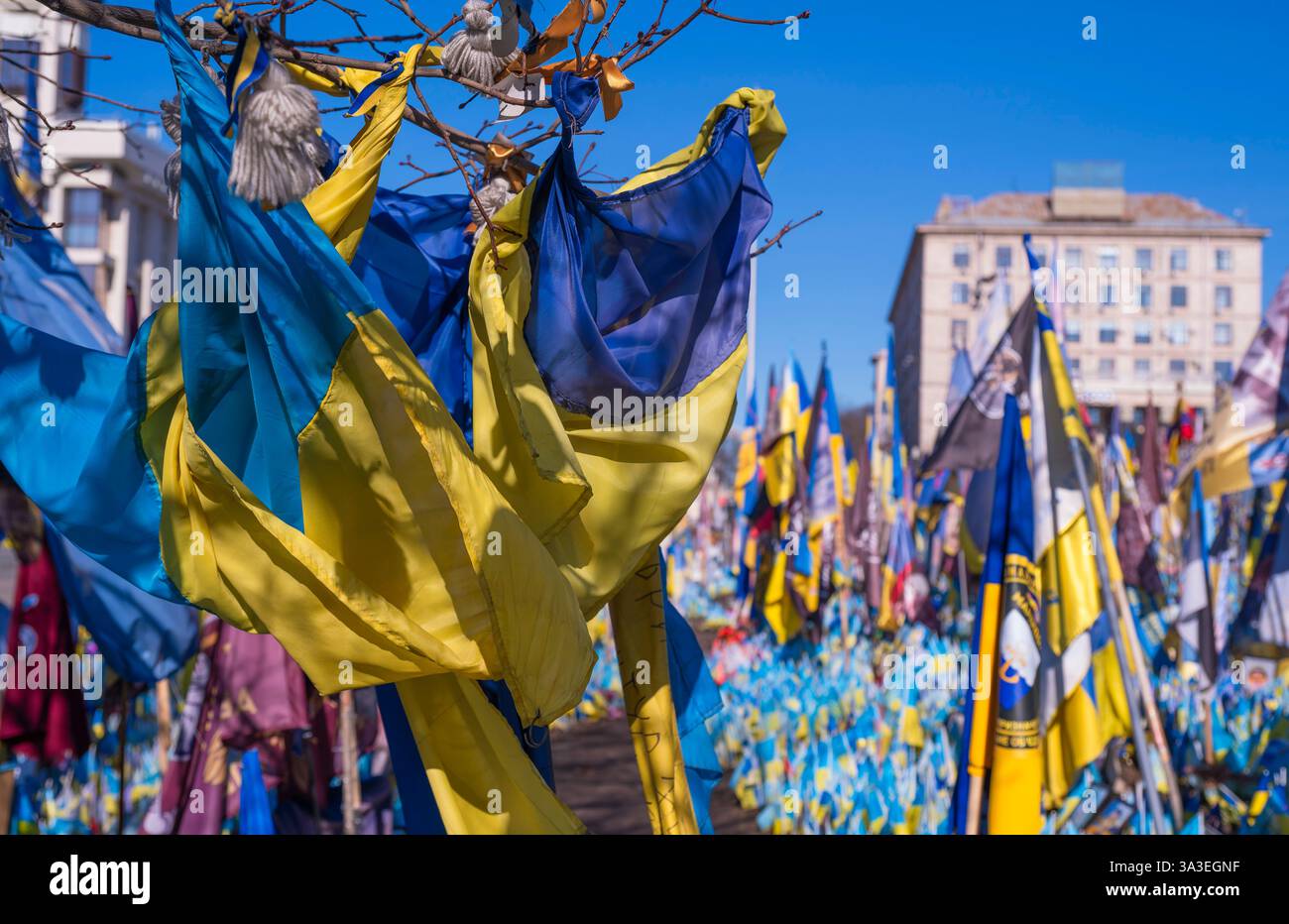 Kyiv, Ukraine - 14th March, 2025. A moving memorial displays blue and ...