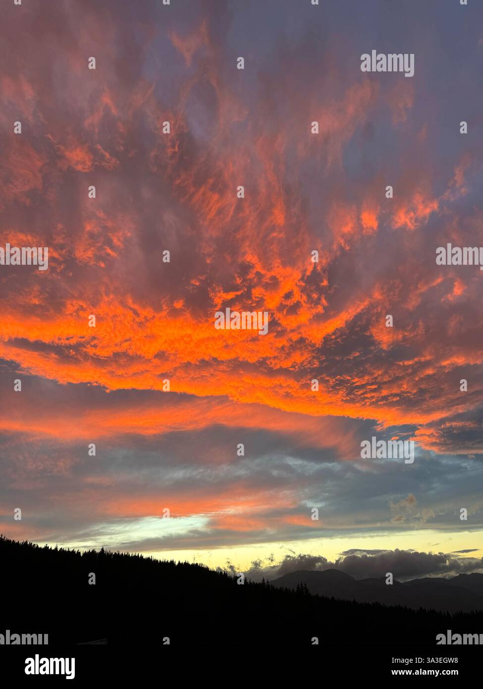 Blue-red sunset sky over dark forest Stock Photo - Alamy