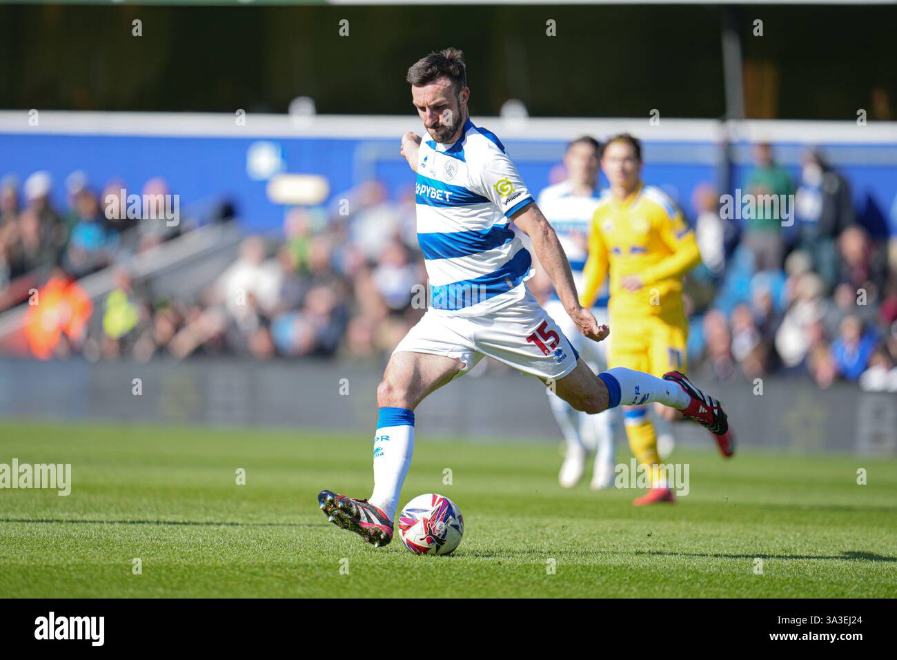 Sportmorgan fox hi-res stock photography and images - Alamy