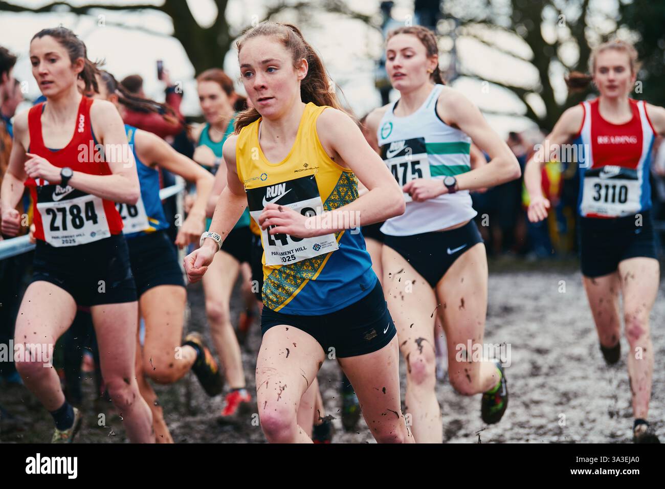 English National cross country championships 2025, Parliament Hill ...