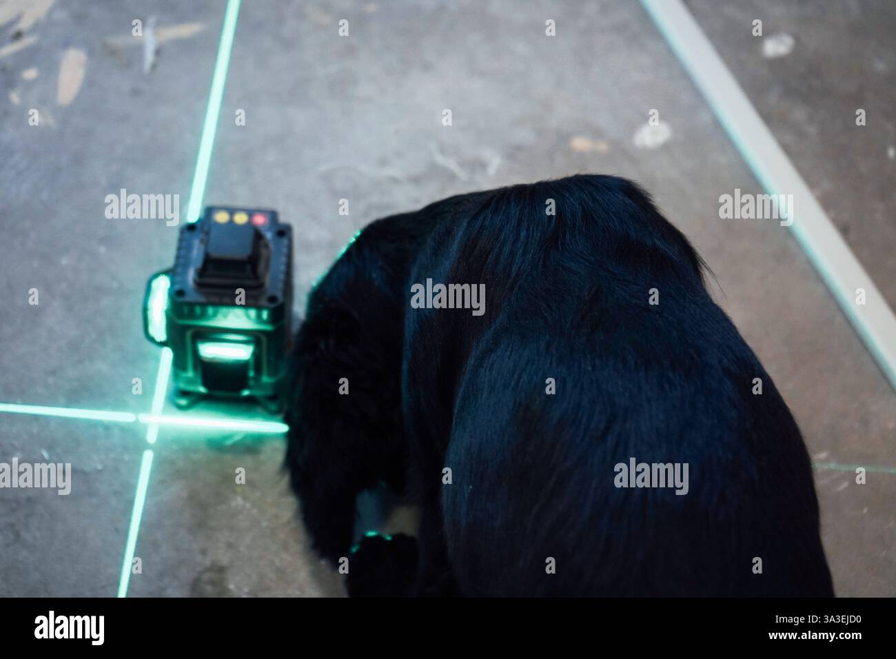 Two perfectly aligned green laser lines overlap on the unfinished ...