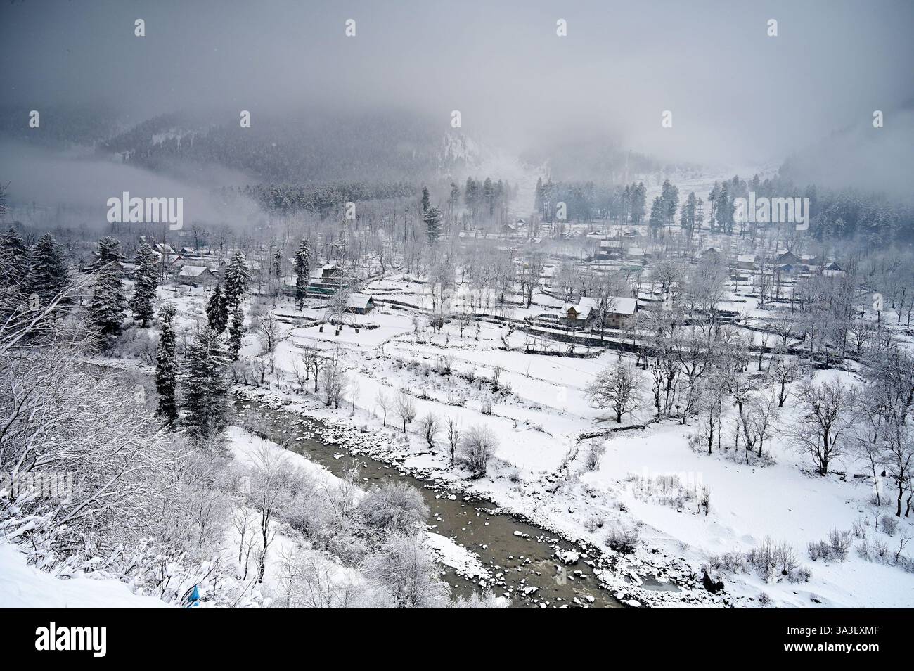 Srinagar, India. 15th Mar, 2025. SRINAGAR, INDIA - MARCH 15: A view of ...