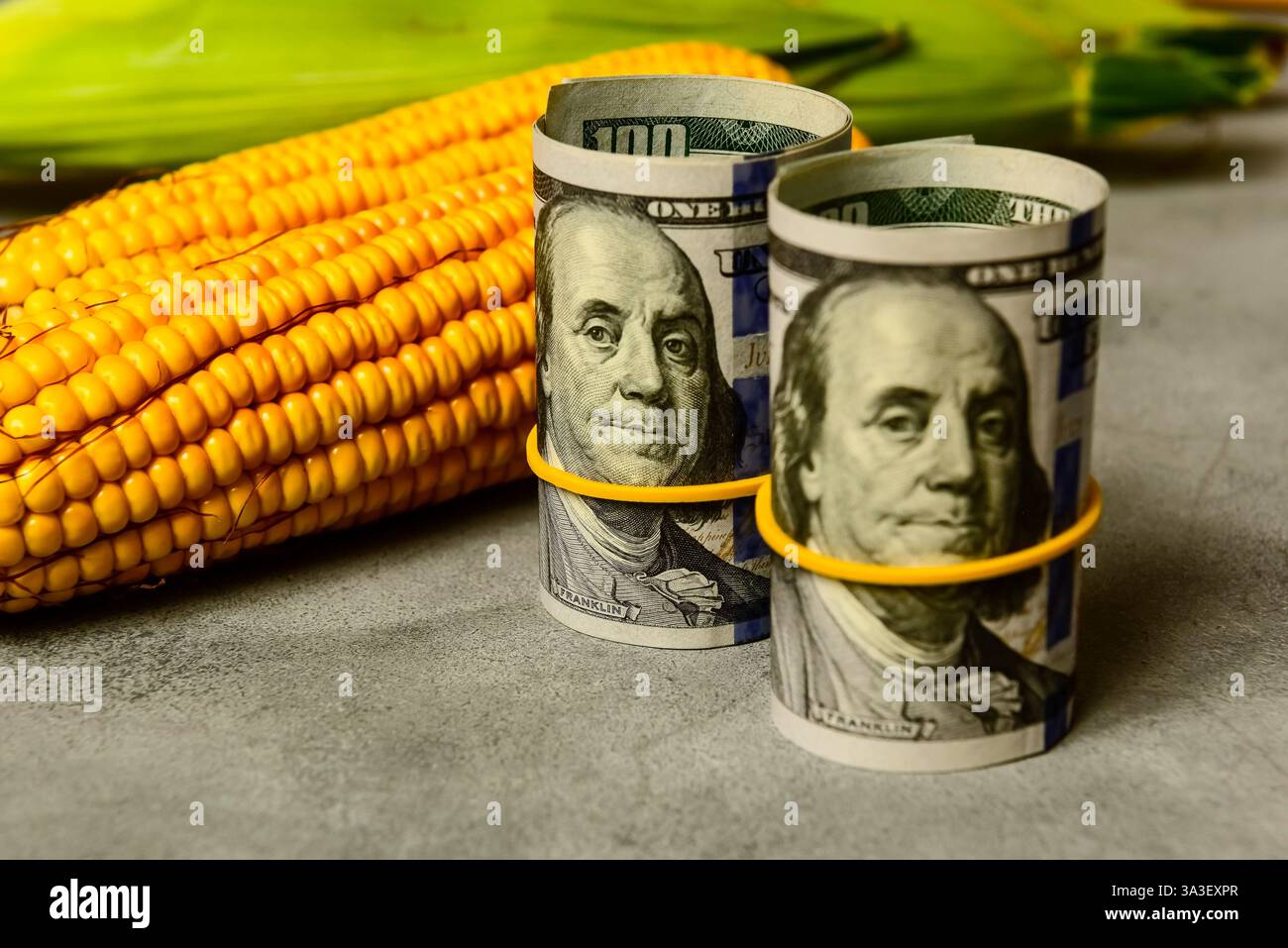 Corn seed trade, agricultural business concept Stock Photo - Alamy