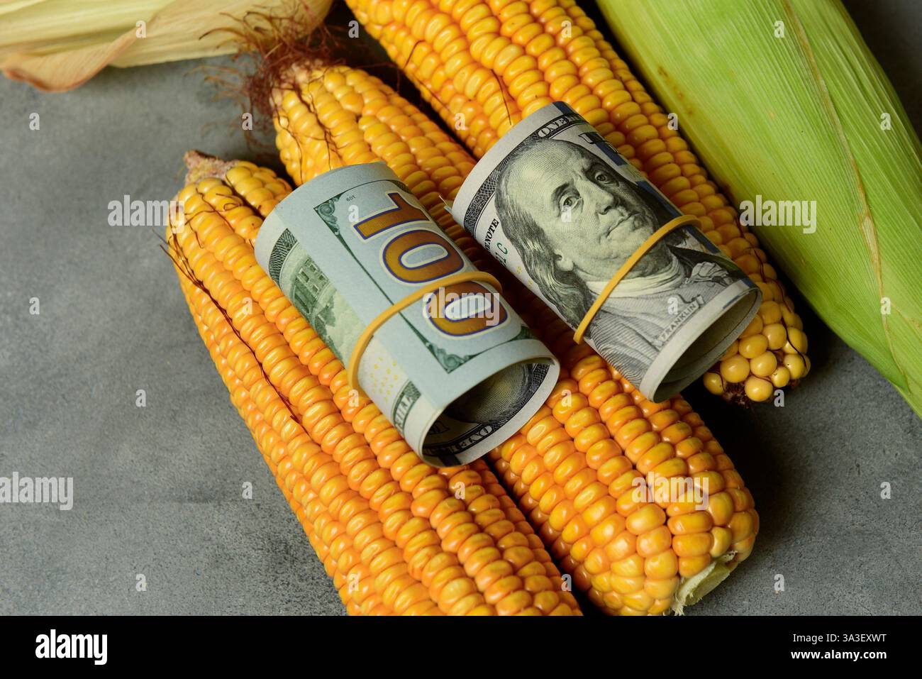 Corn seed trade, agricultural business concept Stock Photo - Alamy