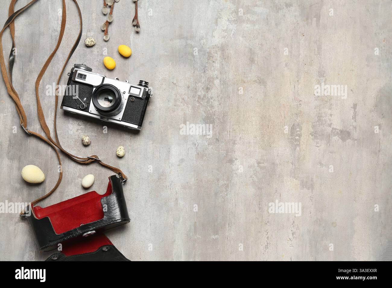 Photo camera with Easter eggs and willow branches on grunge background ...